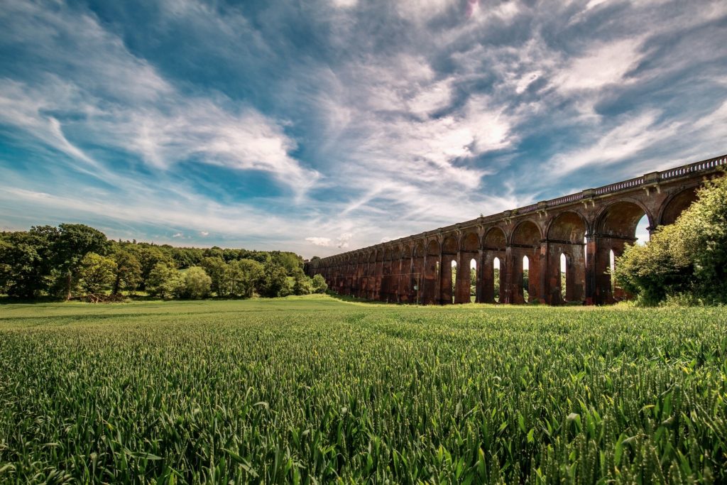 Kate Cowan - Jonathan Lea Network