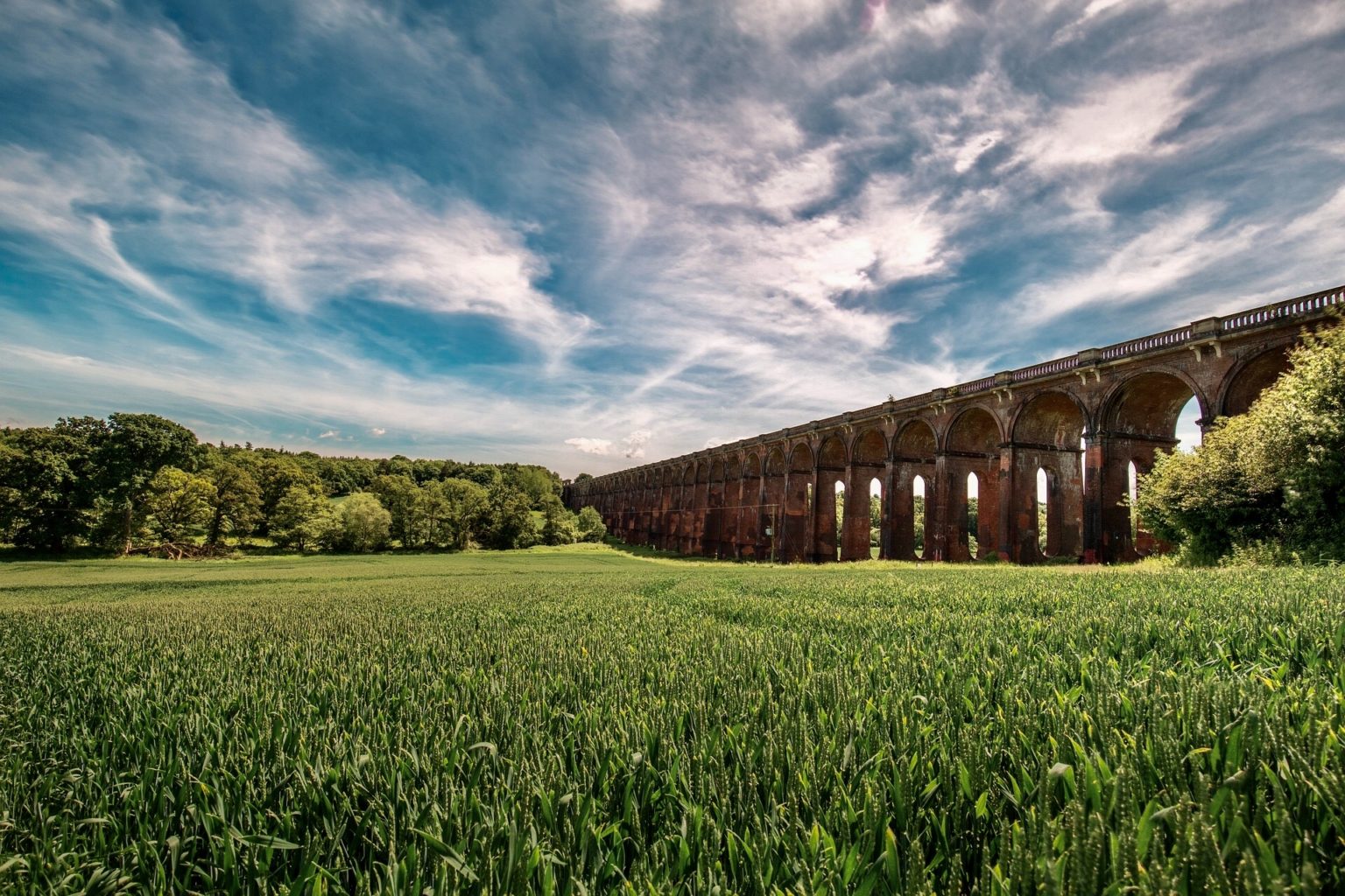 Jonathan Lea Corporate finance solicitor/ director at Jonathan Lea Network